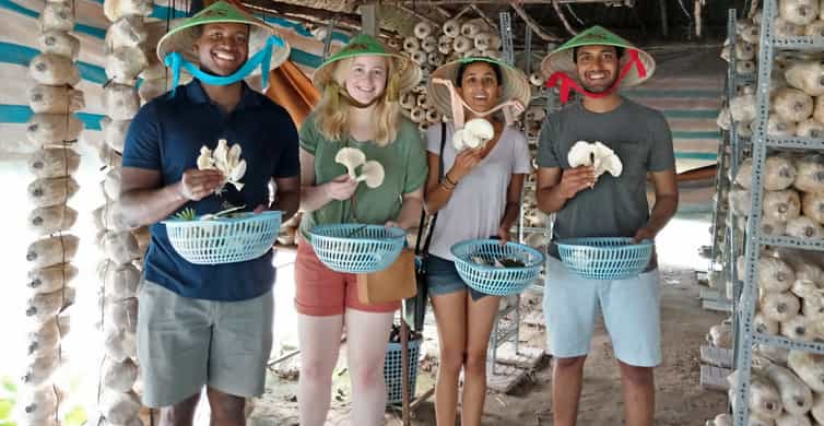 Full-Day Farming & Cooking class at Agricultural Village | GetYourGuide