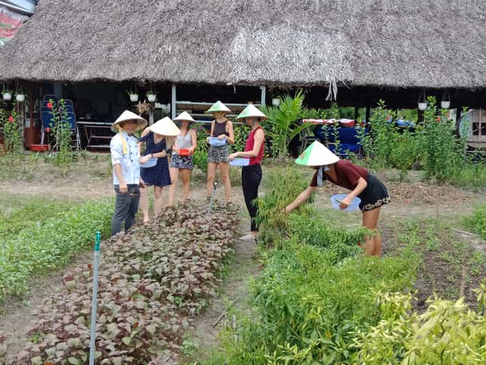 Full-Day Farming & Cooking class at Agricultural Village | GetYourGuide