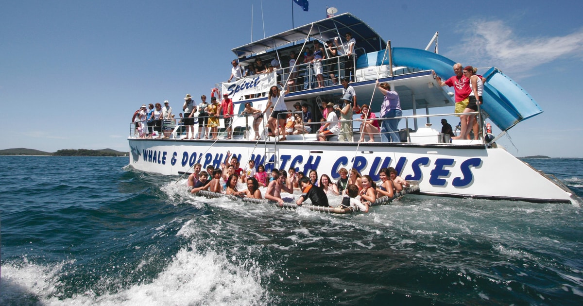 Port Stephens: Dolphin Watch Cruise with Swimming & Slides | GetYourGuide