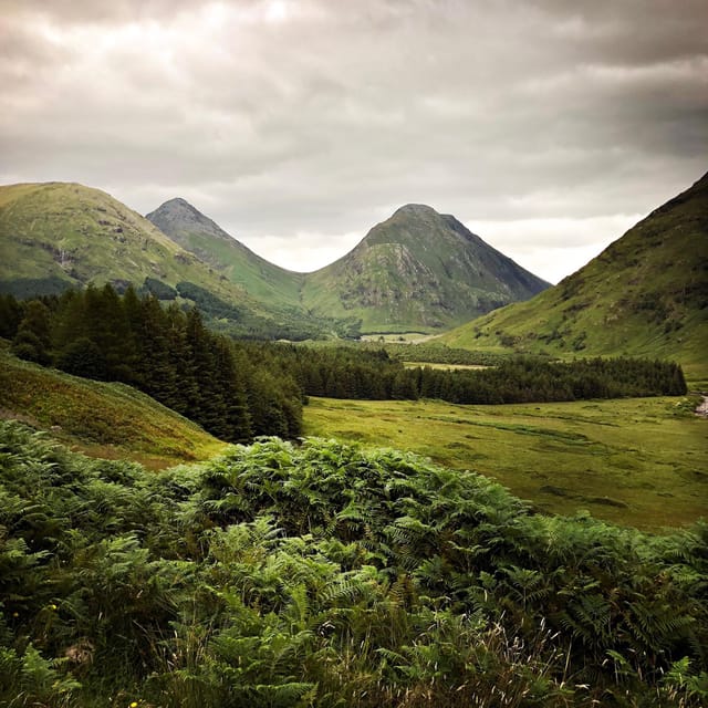 Hidden Gems of the Highlands: A Tranquil Private Day Tour | GetYourGuide