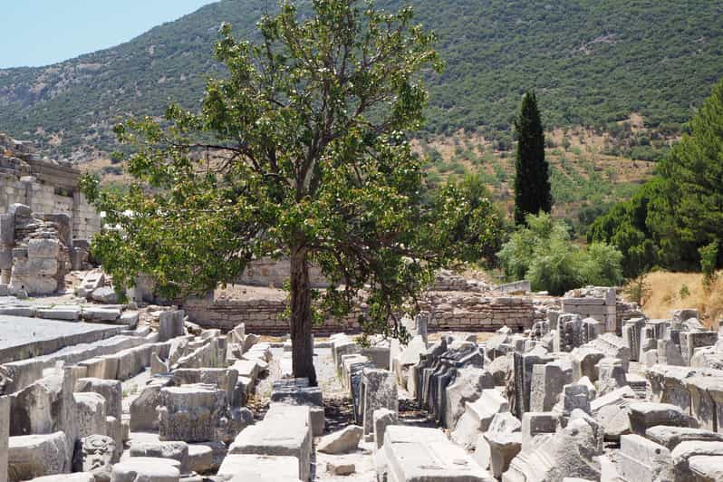 From Kusadasi Port: Ephesus Full-Day Private Trip | GetYourGuide