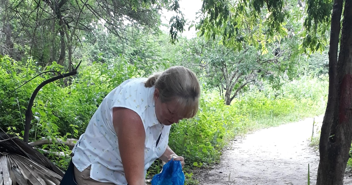 City tour, Banjul, Arch 22, Museums, Crocodiles and Monkeys | GetYourGuide