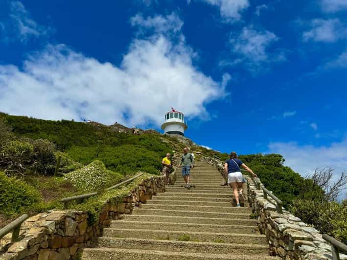 Private Tour:Cape Peninsula &Penguin Beach, Cape Point &more | GetYourGuide