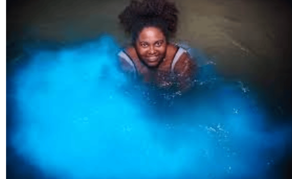 Luminous Lagoon Night Tour | GetYourGuide