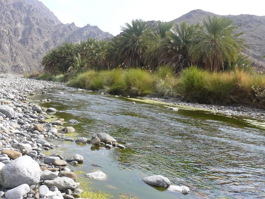 Oman: Wadi Abyadh and Wekan Village 4WD Tour | GetYourGuide