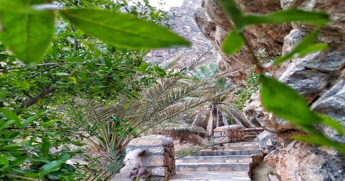 Oman: Wadi Abyadh and Wekan Village 4WD Tour | GetYourGuide