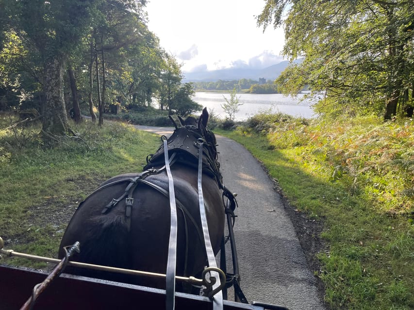 44 Top Activities in Killarney (2025) with Reviews