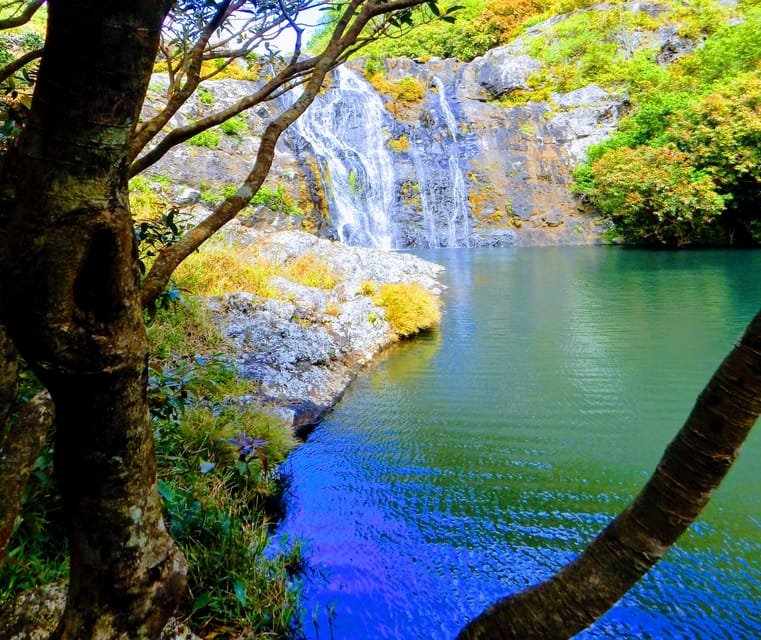 Mauritius: Guided Tamarind Falls Hike with Hotel Transfers | GetYourGuide