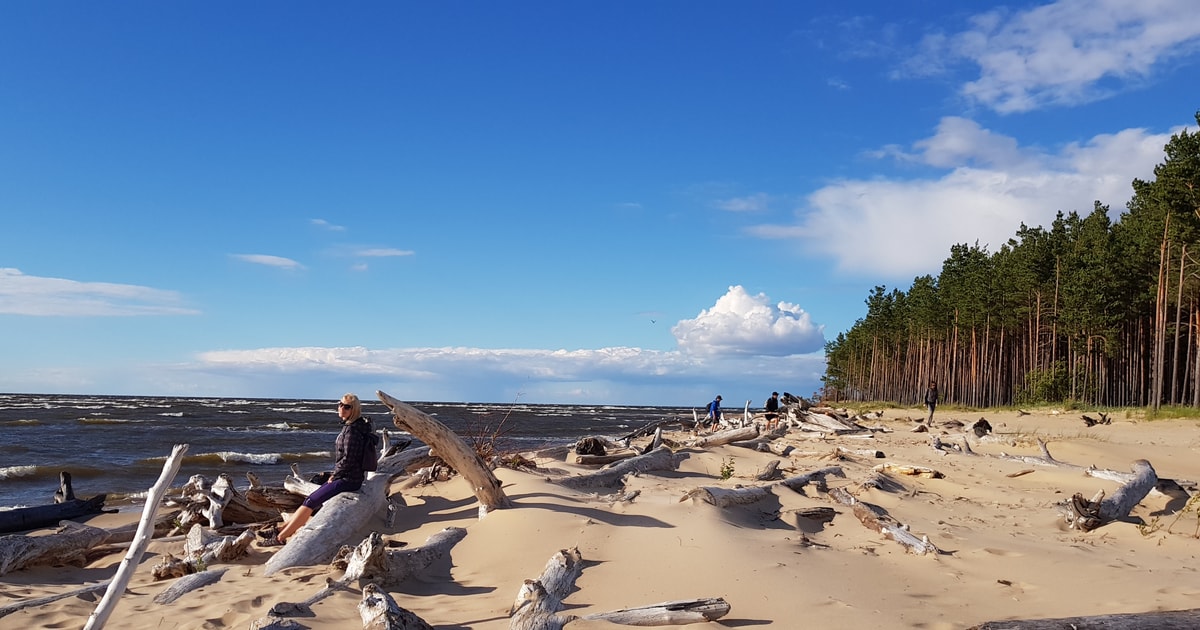 From Riga: Four Natural Ecosystems In One Hike | GetYourGuide