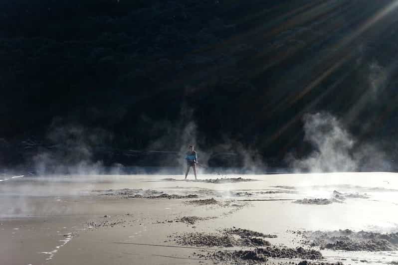 Moutohora (Whale) Island Sanctuary Tour from Whakatane | GetYourGuide