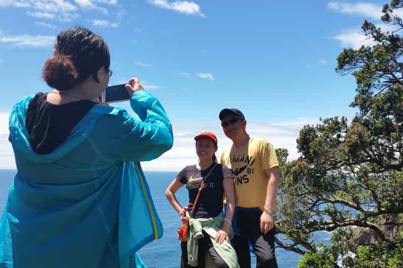 Moutohora (Whale) Island Sanctuary Tour from Whakatane | GetYourGuide