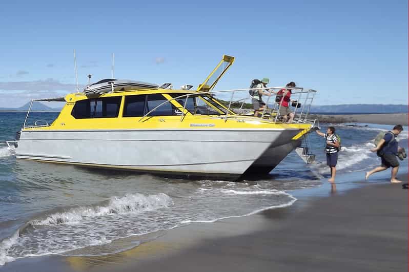 Moutohora (Whale) Island Sanctuary Tour from Whakatane | GetYourGuide