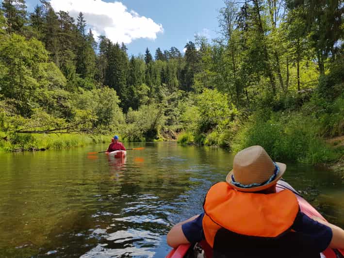 From Riga: Full-Day Scenic Gauja River Valley Kayaking Trip | GetYourGuide