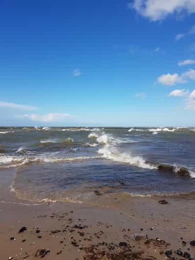 From Riga: Slītere National Park Latvian Nature Hiking Tour | GetYourGuide