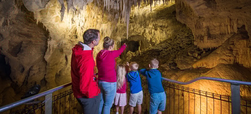 The BEST Waitomo Glowworm Caves Family-friendly activities 2024 - FREE ...