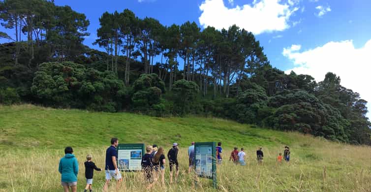 From Paihia: Scenic Cruise with Roberton Island Stopover | GetYourGuide