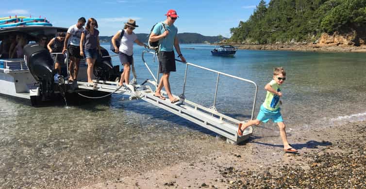 From Paihia: Scenic Cruise with Roberton Island Stopover | GetYourGuide