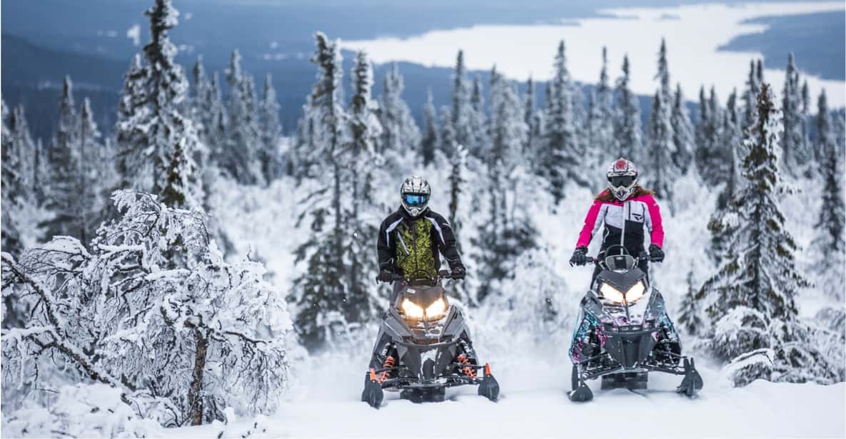 Rovaniemi: Snowmobile Safari Adventure | GetYourGuide