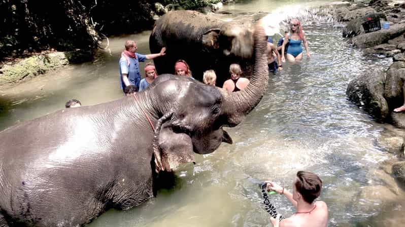 From Phuket: Elephant Care Experience with Rafting & Zipline | GetYourGuide