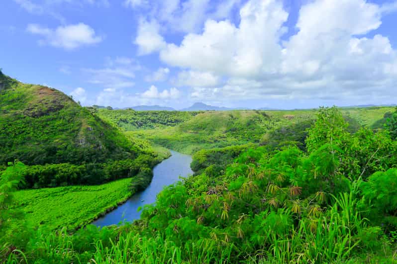 Kauai: Full-Day Waimea Canyon & Wailua River Tour | GetYourGuide