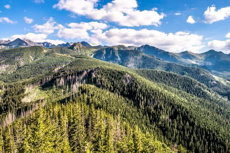 Tour de un día por los montes Tatra y Zakopane | GetYourGuide