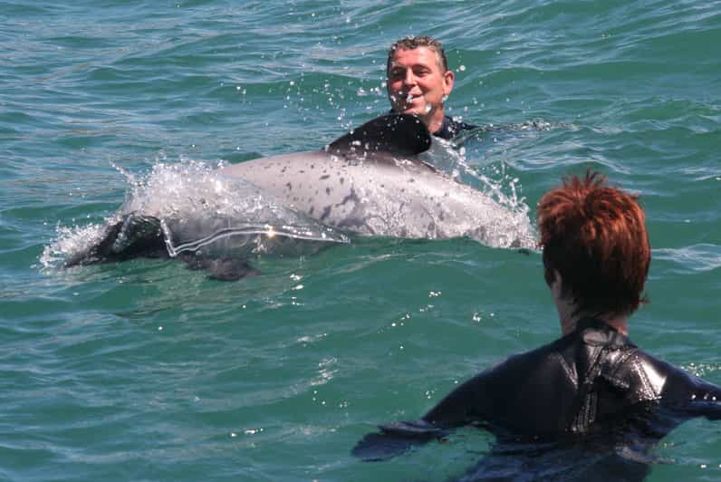 Akaroa: Swimming with Wild Dolphins Experience | GetYourGuide