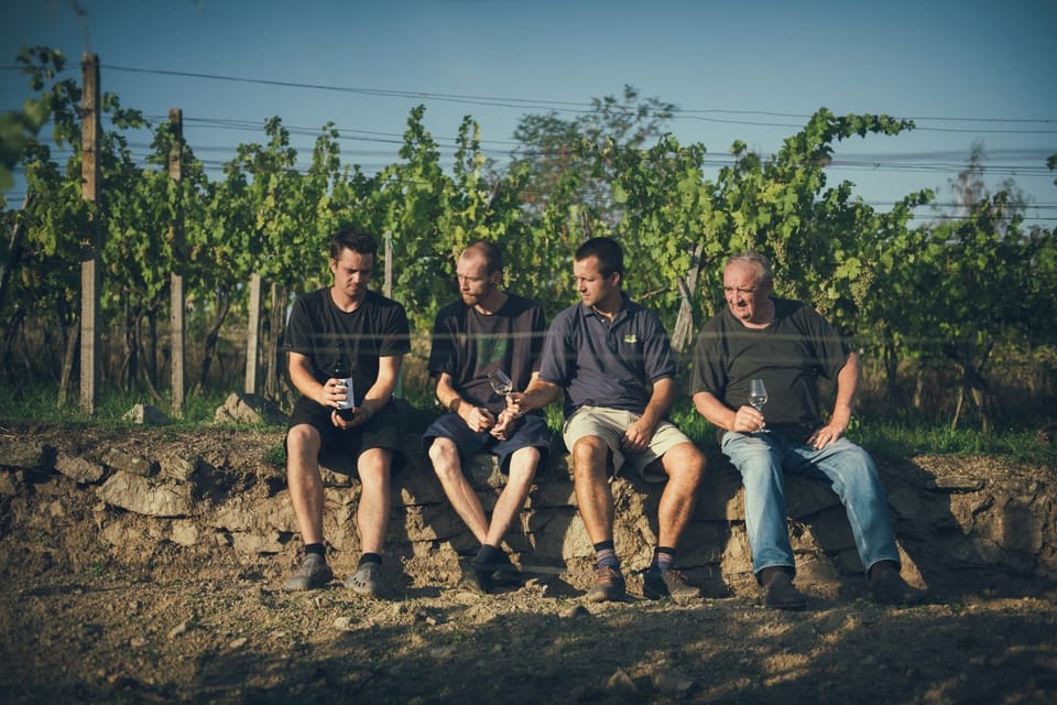 Modra: Private Wine Tasting at a Family-Operated Winery | GetYourGuide
