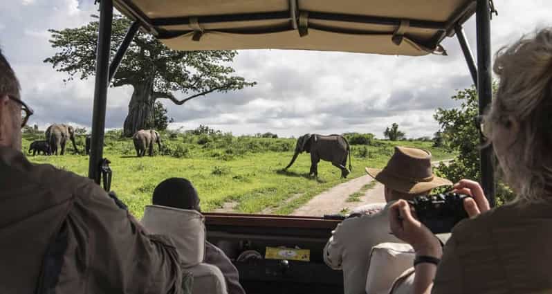 3 Days Aberdare National Park Safari | GetYourGuide