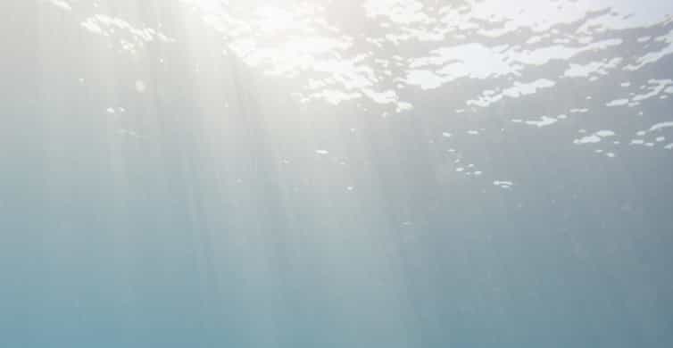 La Ventana: Manta-Rochen-Tauchgang bei La Reina | GetYourGuide