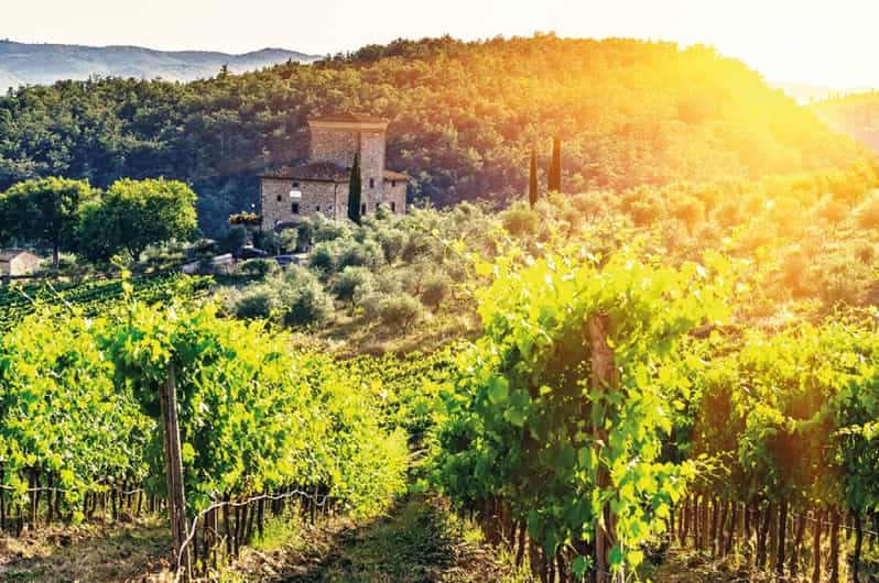 From Siena: Chianti and Castles Tour with Wine Tastings | GetYourGuide
