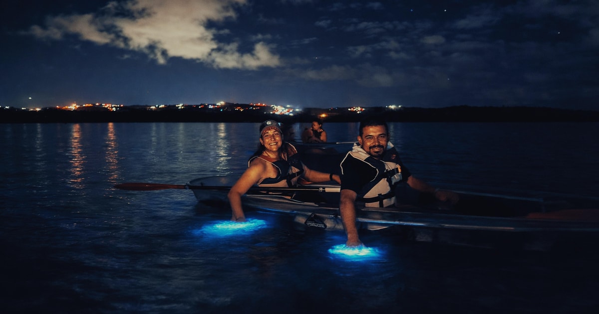 Transparent Canoe in Bioluminescent Bay in Vieques | GetYourGuide