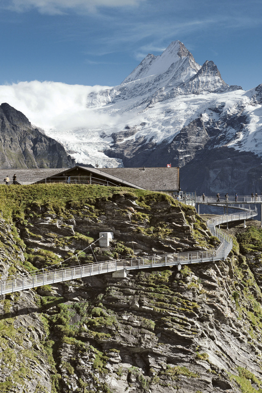 Grindelwald Gondola Ride to Mount First | GetYourGuide