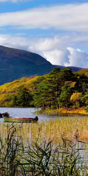 Kerry: Full-Day Tour from Dublin | GetYourGuide