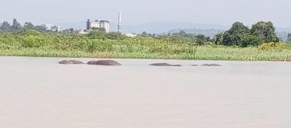 2 Days Visiting Bahir Dar, Blue Nile Waterfall & City Tour | GetYourGuide