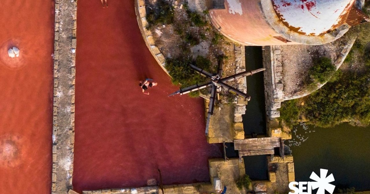 Marsala: Pink Salt Pans Wellness | GetYourGuide