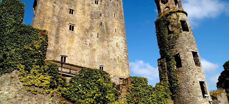 The BEST Rock of Cashel Castle & palace tours 2024 - FREE Cancellation ...