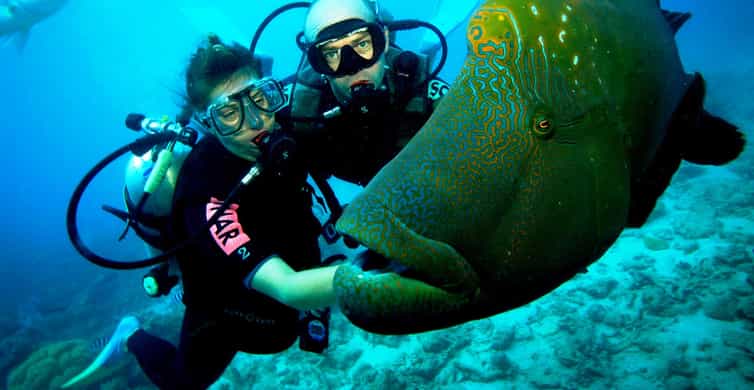 Goa: Die BESTEN Sehenswürdigkeiten und Aktivitäten 2023 – KOSTENLOS ...