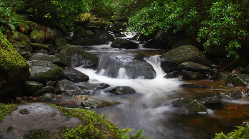 Ring Of Kerry Full Day Guided Tour From Cork Getyourguide