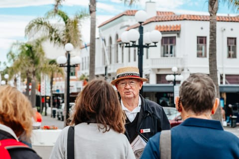 The BEST Napier Tours and Things to Do in 2022 - FREE Cancellation ...