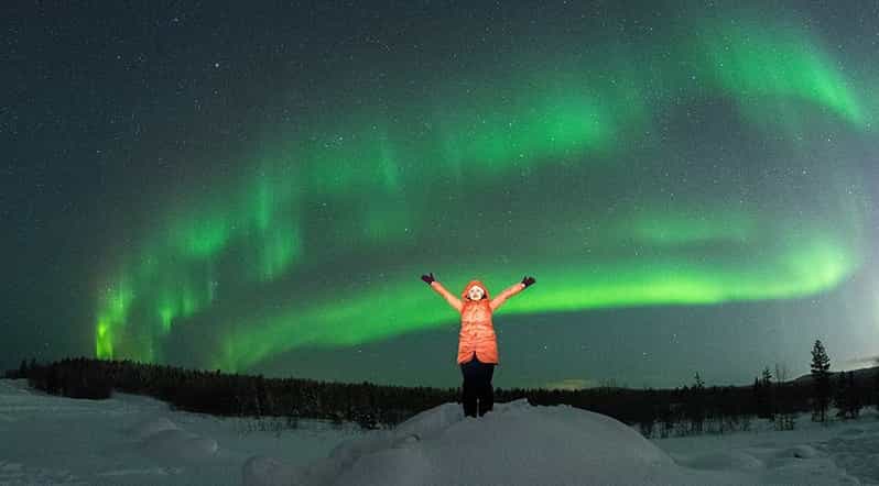 Rovaniemi: Aurora Borealis Tour | GetYourGuide