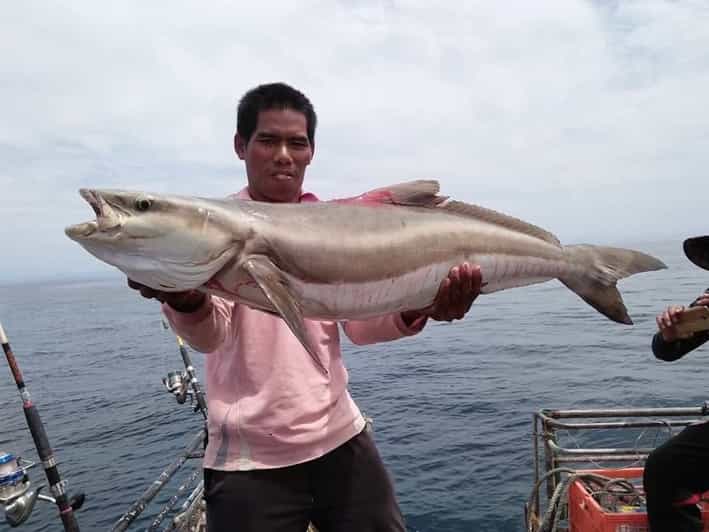 Krabi: Big Game Fishing and Snorkelling at Four Islands | GetYourGuide