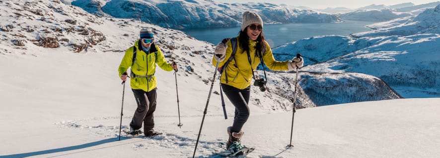 Wandering Owl | GetYourGuide-Anbieter