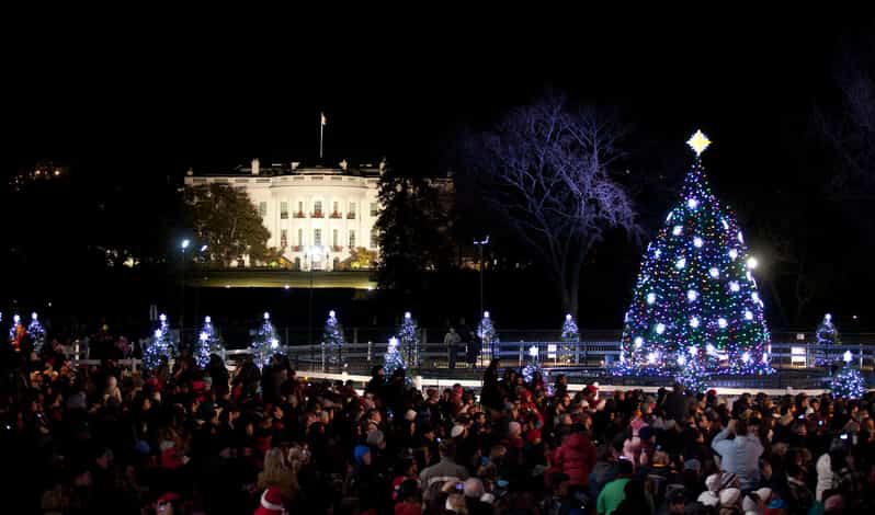 Washington, DC: 3-Hour Holiday Lights Night-Time Bus Tour | GetYourGuide