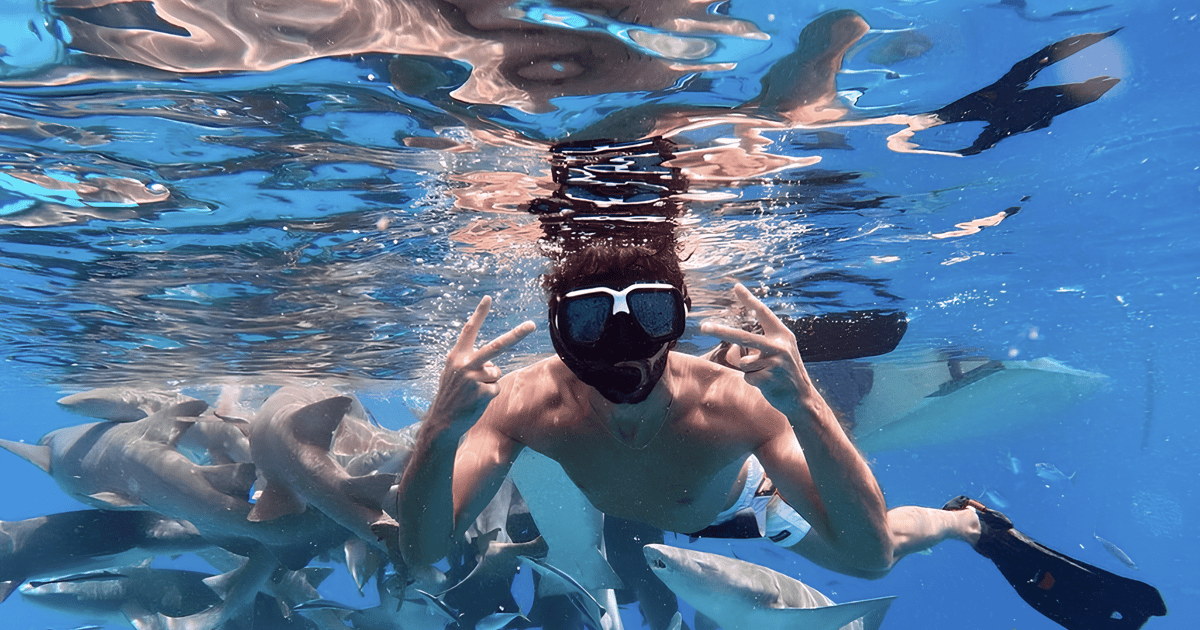 Maafushi: tiburones nodriza, rayas, bancos de arena y delfines ...