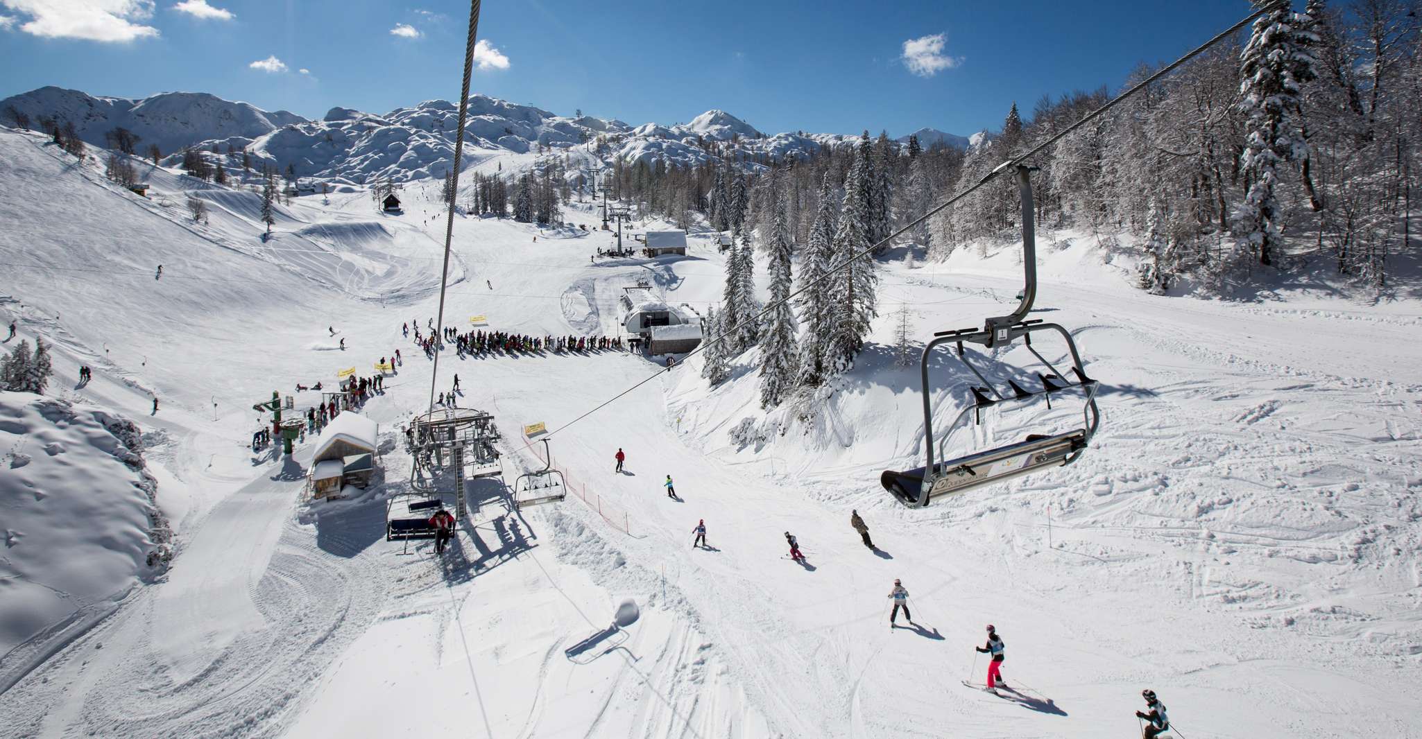 Half-Day Skiing with Instructor in Vogel Ski Center | Private Tour in Bled