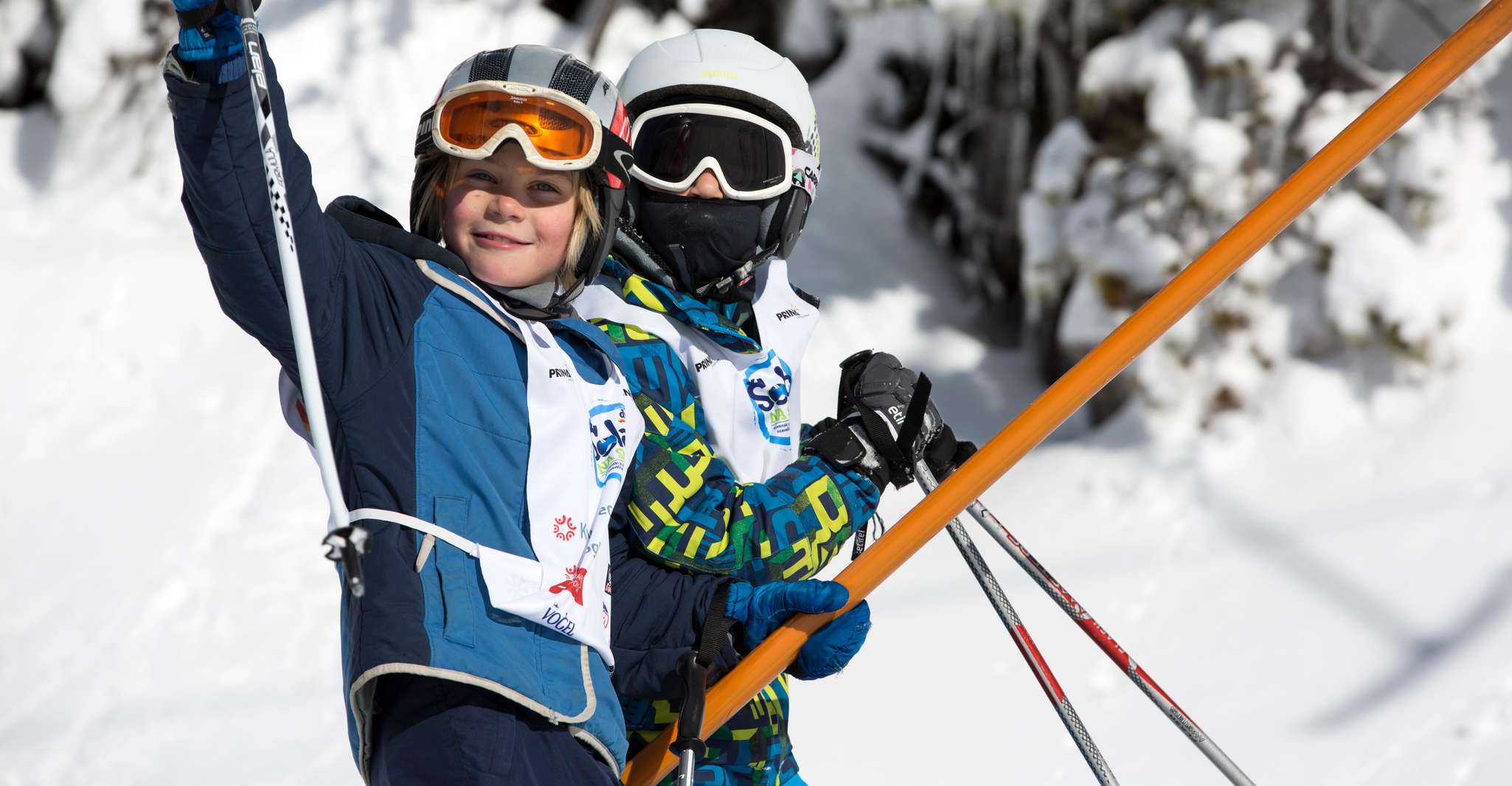 Half-Day Skiing with Instructor in Vogel Ski Center | Private Tour in Bled