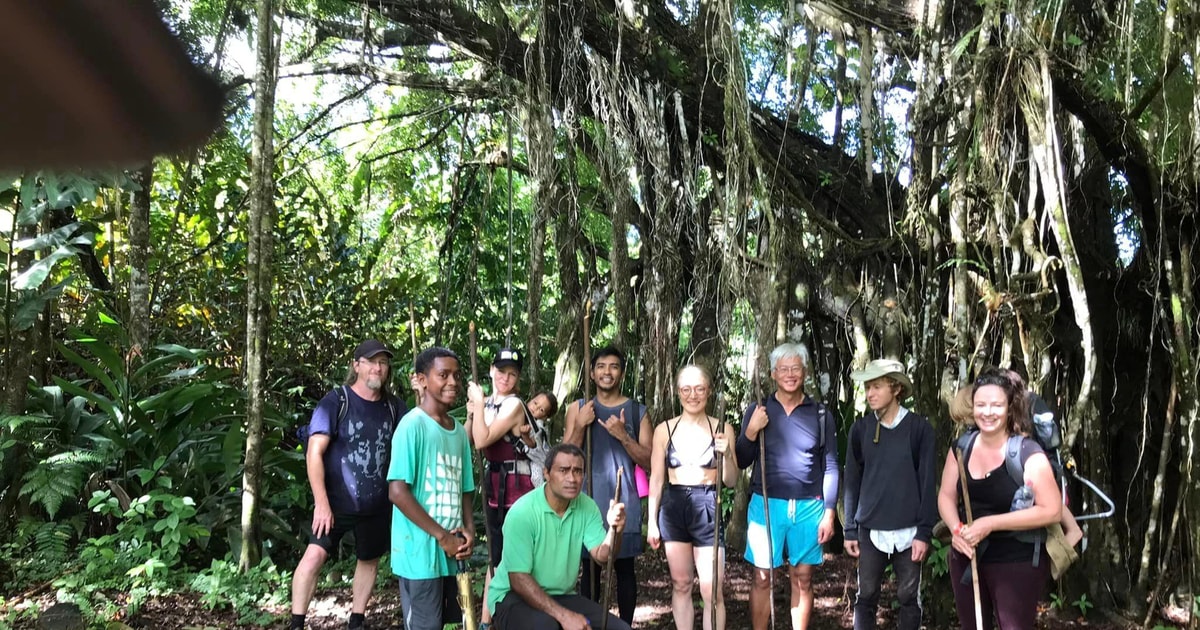 NAVUA: Rainforest Waterfall Tour | GetYourGuide