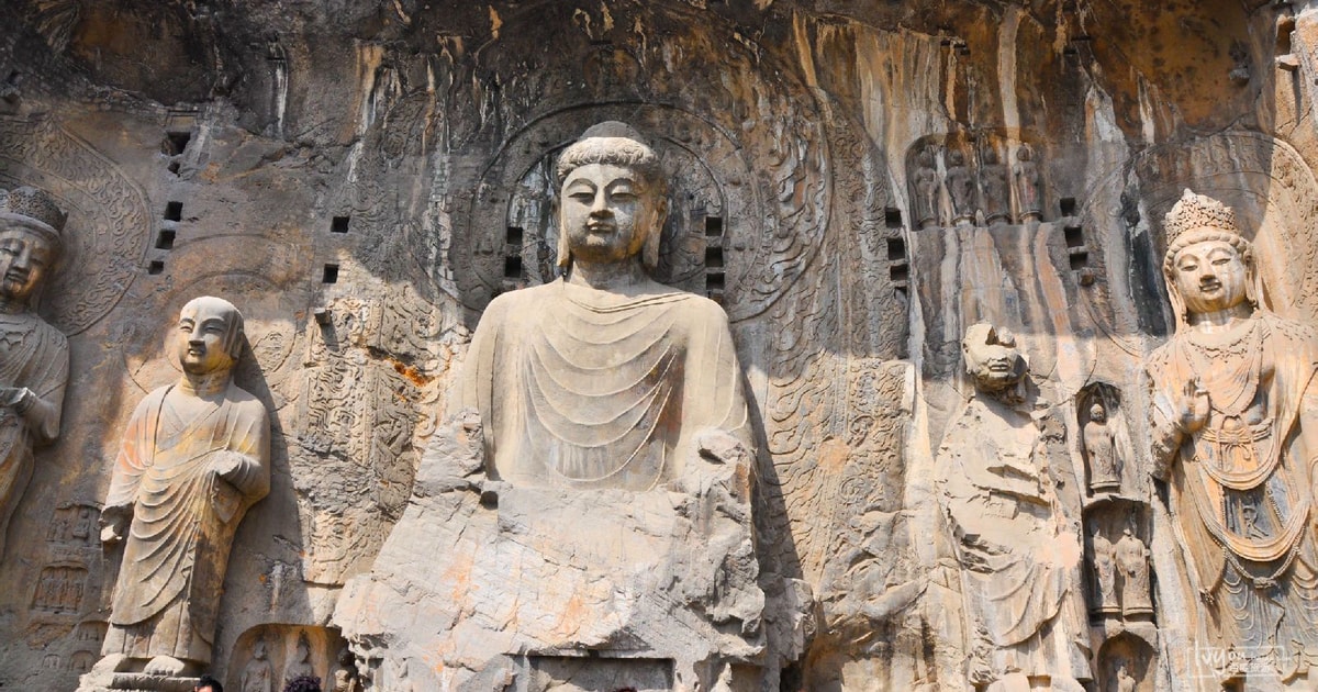 Louyang Day Tour from Xian: Longmen Grottoes, Shaolin Temple | GetYourGuide
