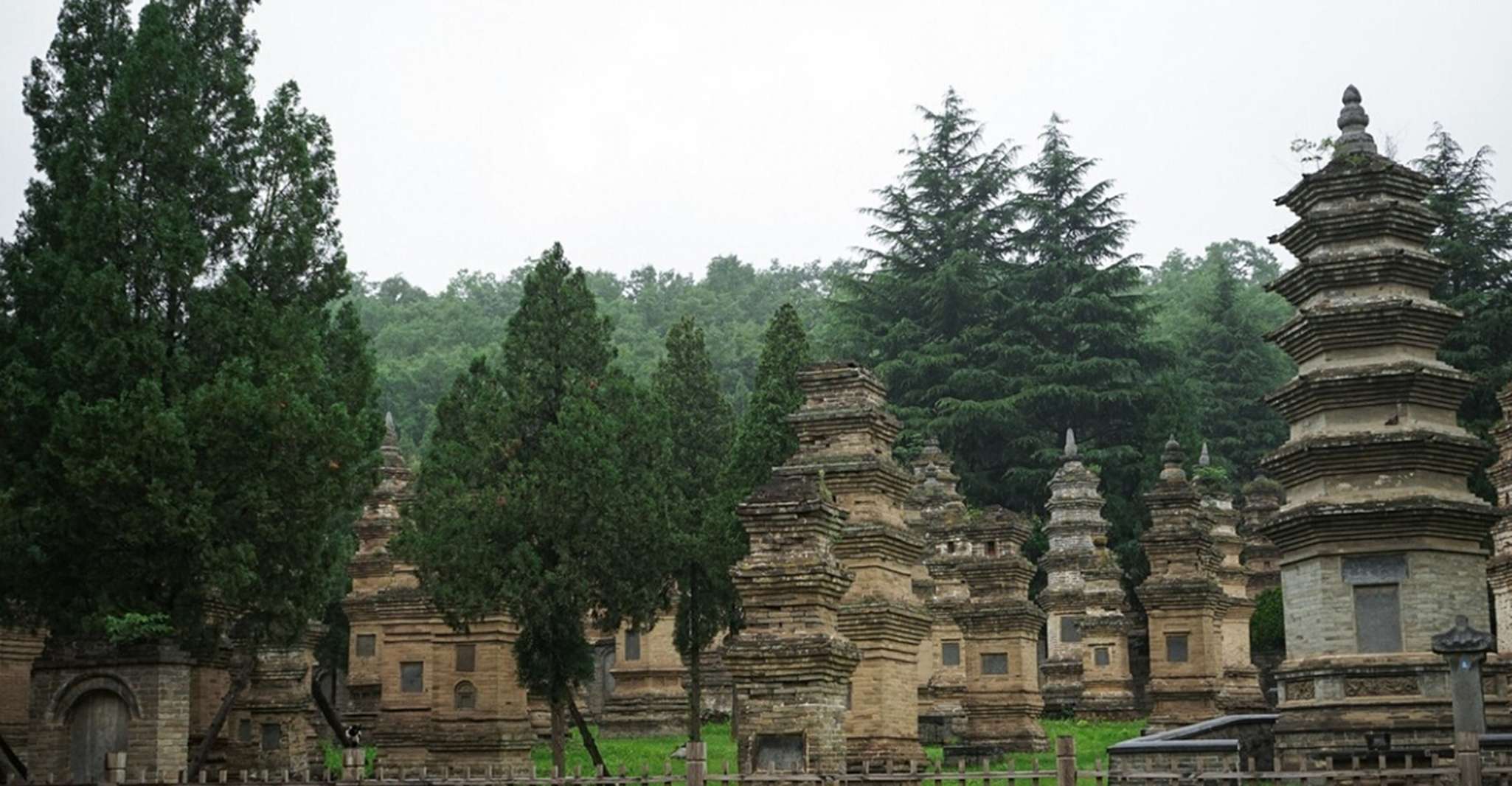 Luoyang Private Day Tour Longmen Grottoes Shaolin Temple | Private Tour ...