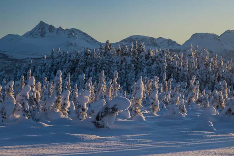 Anchorage: Recorrido fotográfico por el País de las Maravillas Invernal ...
